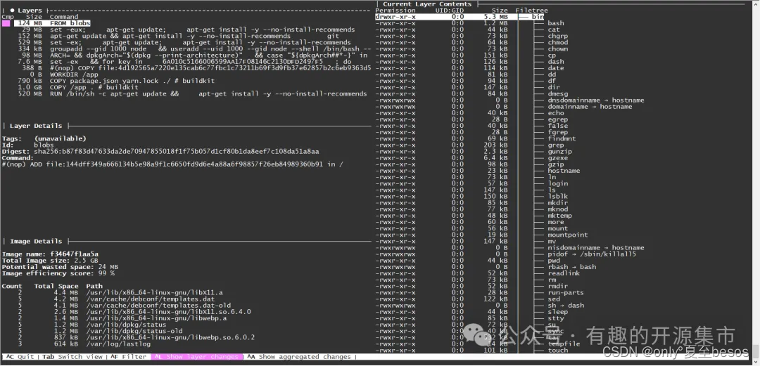 Docker镜像的（Dive）分析和(Grype)漏洞扫描-CSDN博客