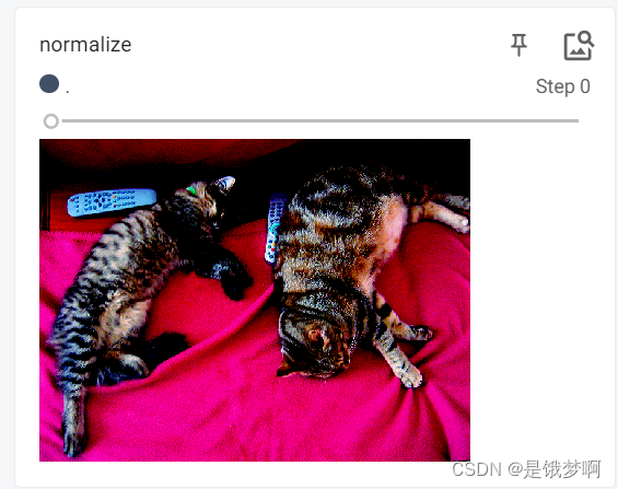 【pytorch】tensorboard + transforms的使用_transformers use tensorboard-CSDN博客