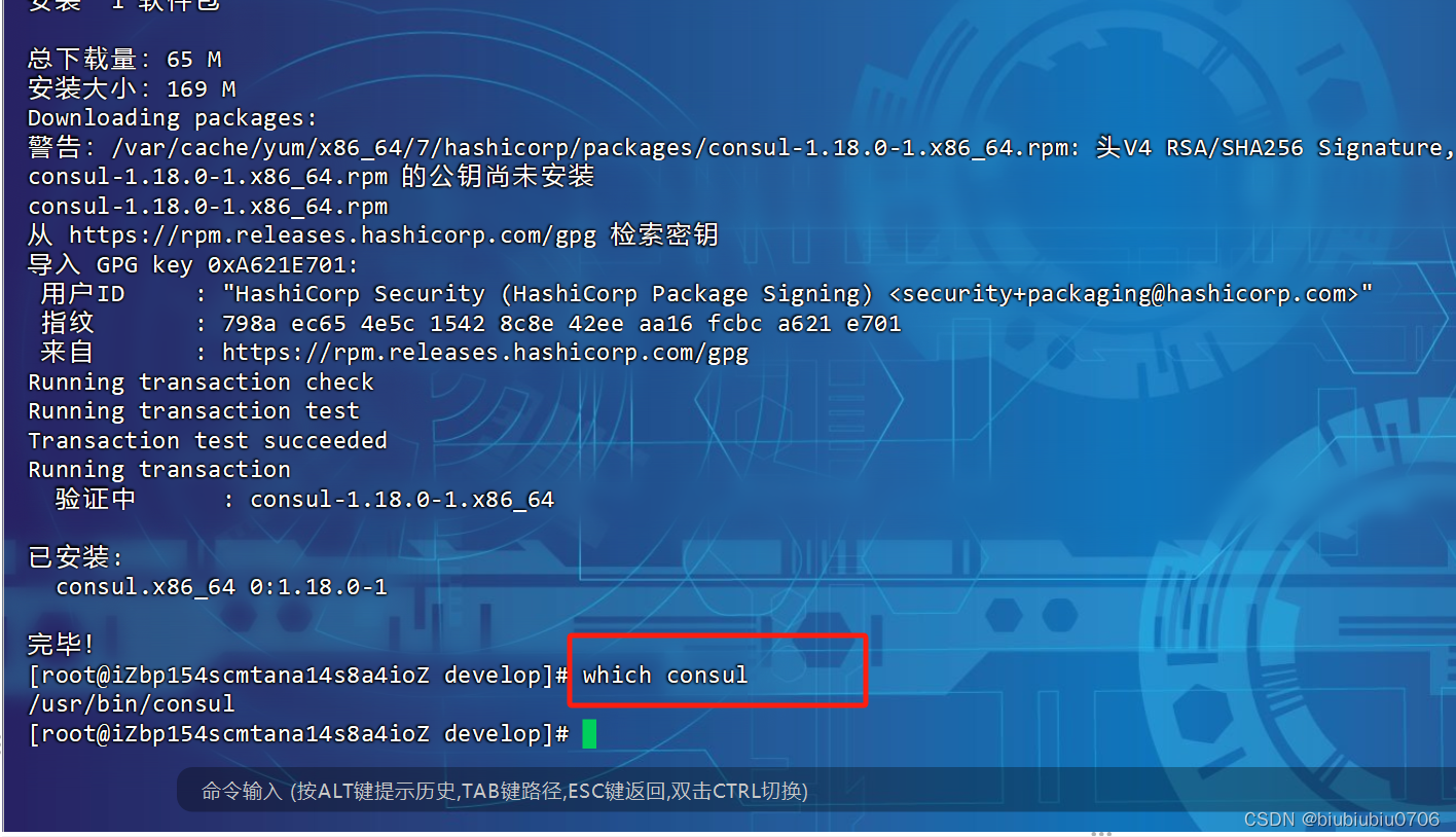 Cloud+Consul-CSDN博客