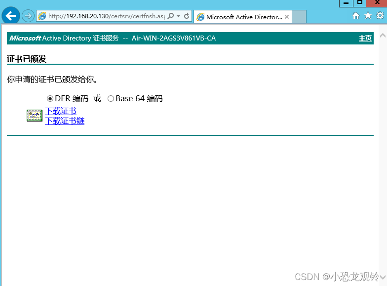 Windows CA证书不爆红_windowsca证书-CSDN博客