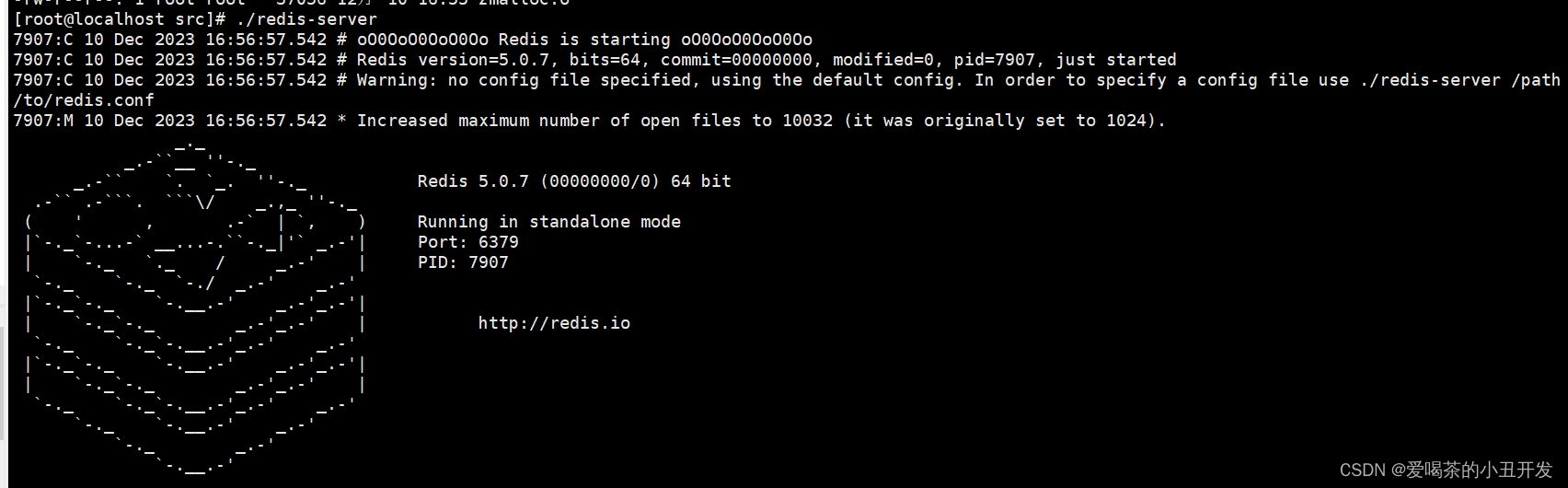 Reids详解_reids安装-CSDN博客