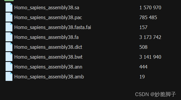 [E::bwa_idx_load_from_disk] fail to locate the index file_bwa-idx-load-from-disk-CSDN博客