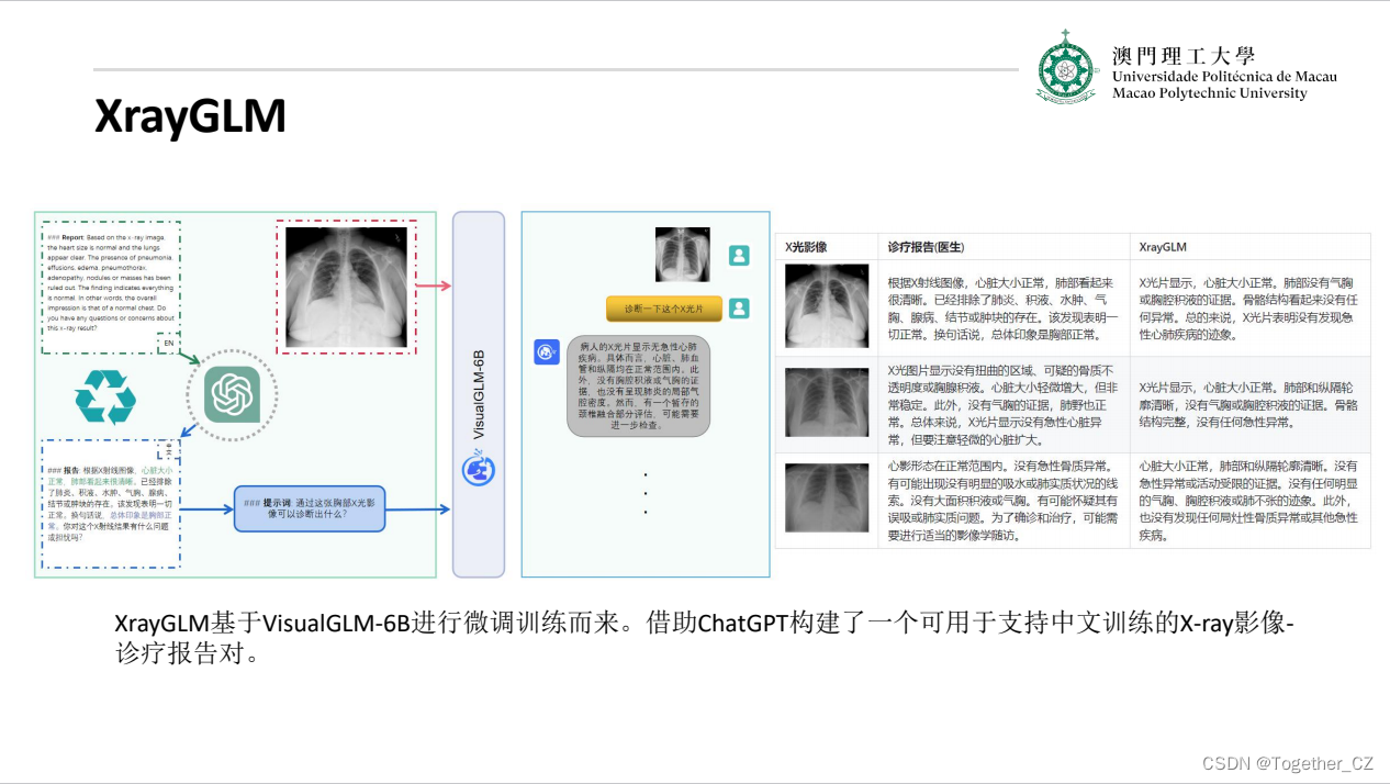 《XrayGLM：基于VisualGLM-6B微调训练对X光胸片进行医学诊断》学习分享与本地项目微调部署实践-CSDN博客