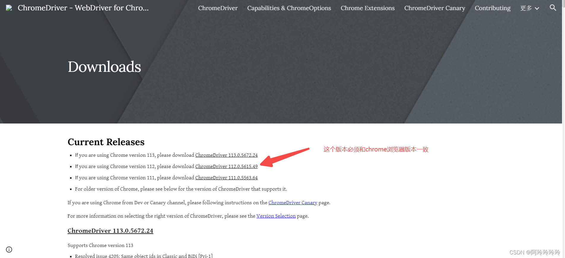【Selenium+java环境配置】（超详细教程常见问题解决）_java+selenium环境搭建-CSDN博客