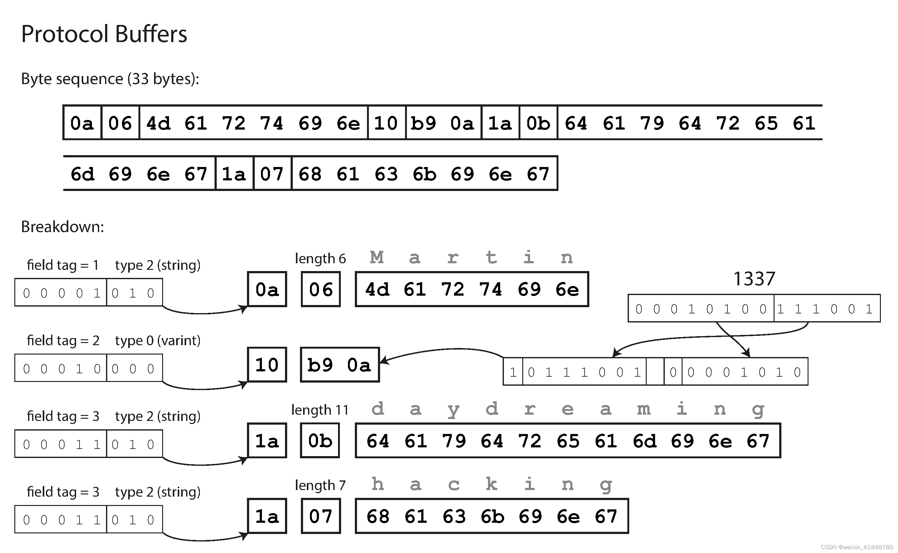 protobuf格式理解-CSDN博客