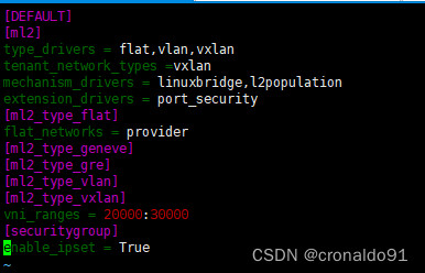 云计算：OpenStack 分布式架构管理VXLAN网络（单控制节点与多计算节点）_openstack vxlan-CSDN博客