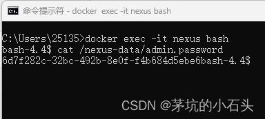 docker安装Nexus3搭建docker私有仓库，并上传镜像_docker nexus3-CSDN博客