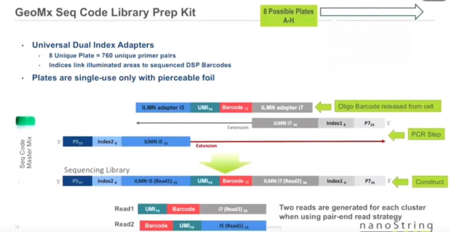 空间转录组检测靶点定量技术----Digital Spatial Profiler（DSP）_dsp空间转录组-CSDN博客