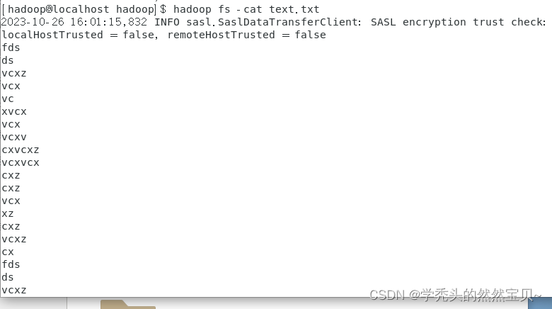 《大数据存储与处理技术hadoop》实验二 熟悉常用的hdfs操作 实验报告大数据实验2 Csdn博客