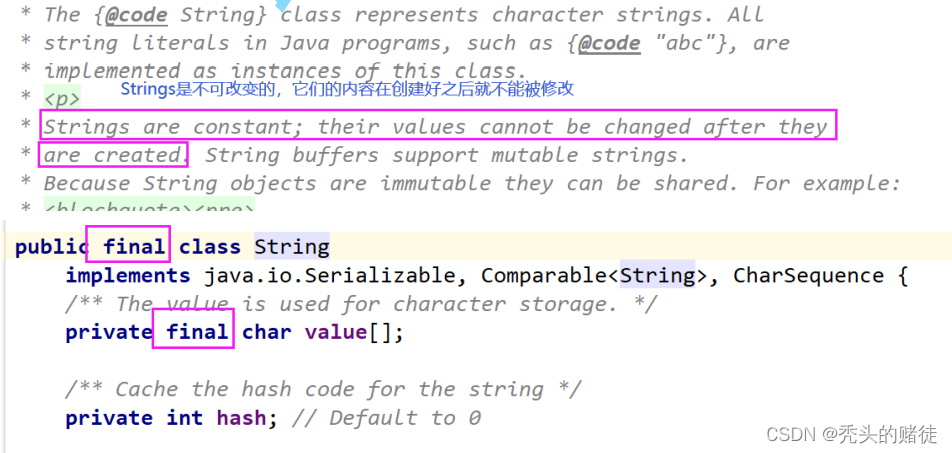 Java字符串详解 Csdn博客