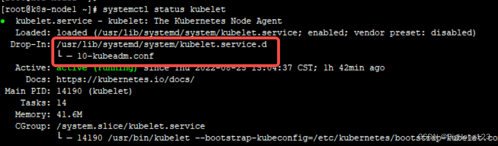 K8S安装过程，通过kubeadm_accepts at most 1 arg(s), received 3-CSDN博客