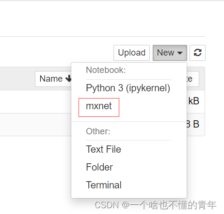 Add virtual environment and code prompts to Jupyter notebook, add mxnet ...