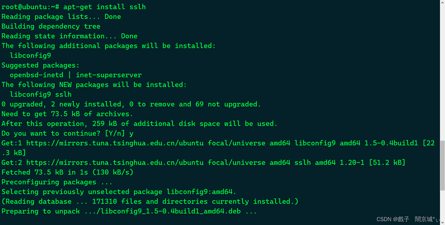 让HTTPS、SSH 共享端口的——工具SSLH_sslh 教程-CSDN博客