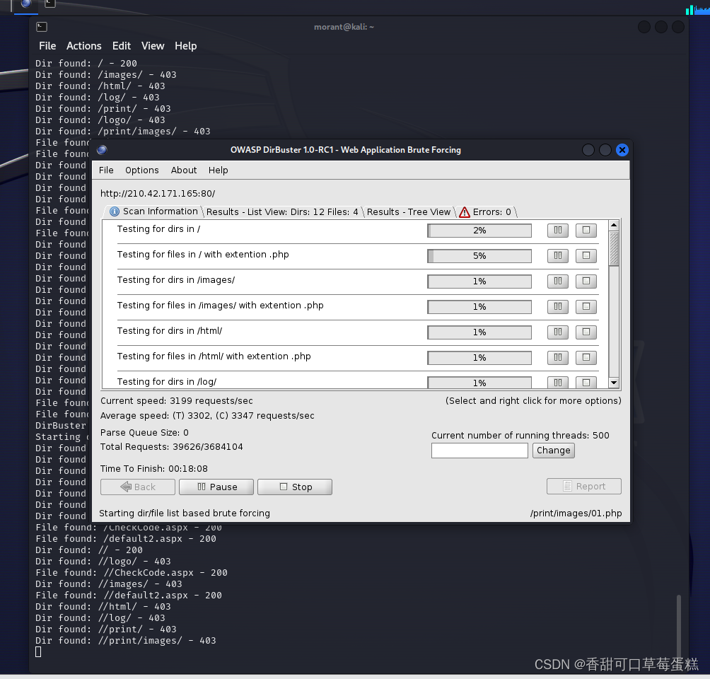 【附链接】Web 目录爆破神器：DirBuster 保姆级教程_dirbuster工具-CSDN博客