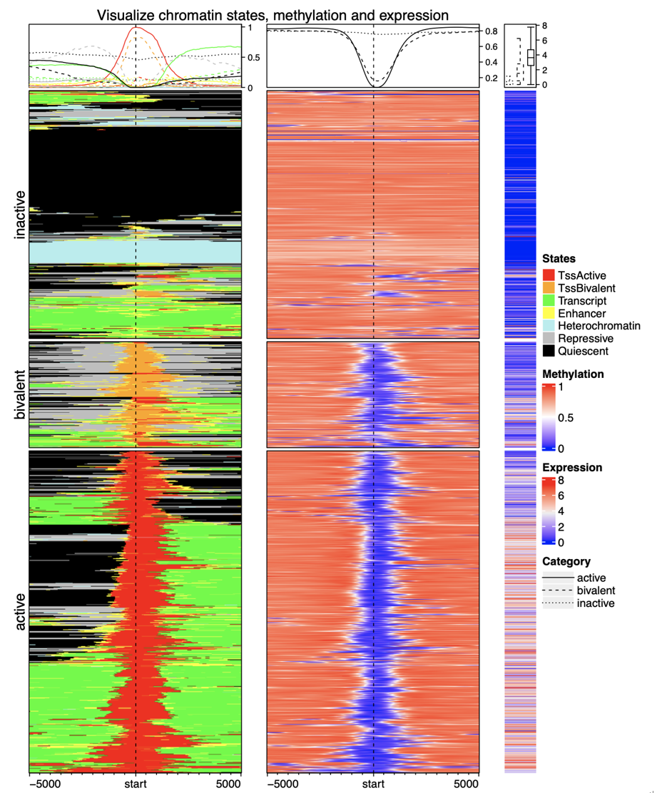 iMeta | 高被引复杂热图可视化：ComplexHeatmap-CSDN博客