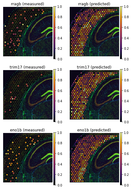 Tangram Tutorial 2：配合 squidy 使用 Tangram_tangram visium-CSDN博客
