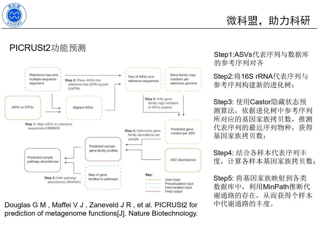 PICRUSt2菌群功能预测分析-CSDN博客
