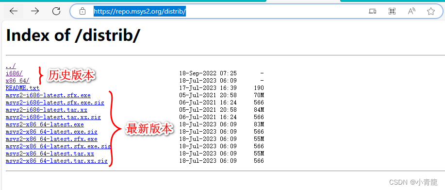 MSYS2 介绍、下载与安装、Pacman常用命令-CSDN博客