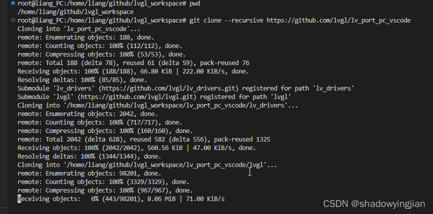 LVGL 环境搭建-基于WSL-CSDN博客