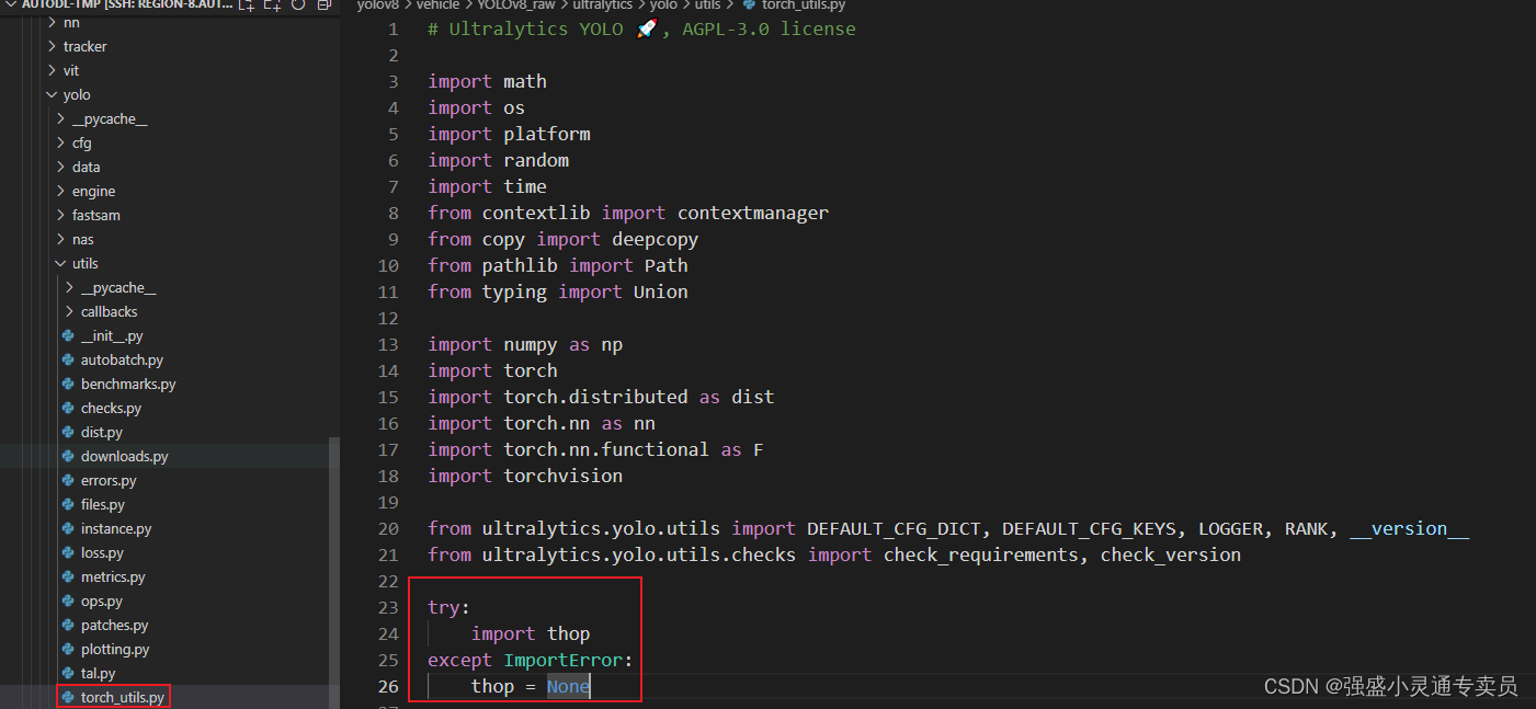 关于YOLOv8不显示GFlops的问题解决-CSDN博客