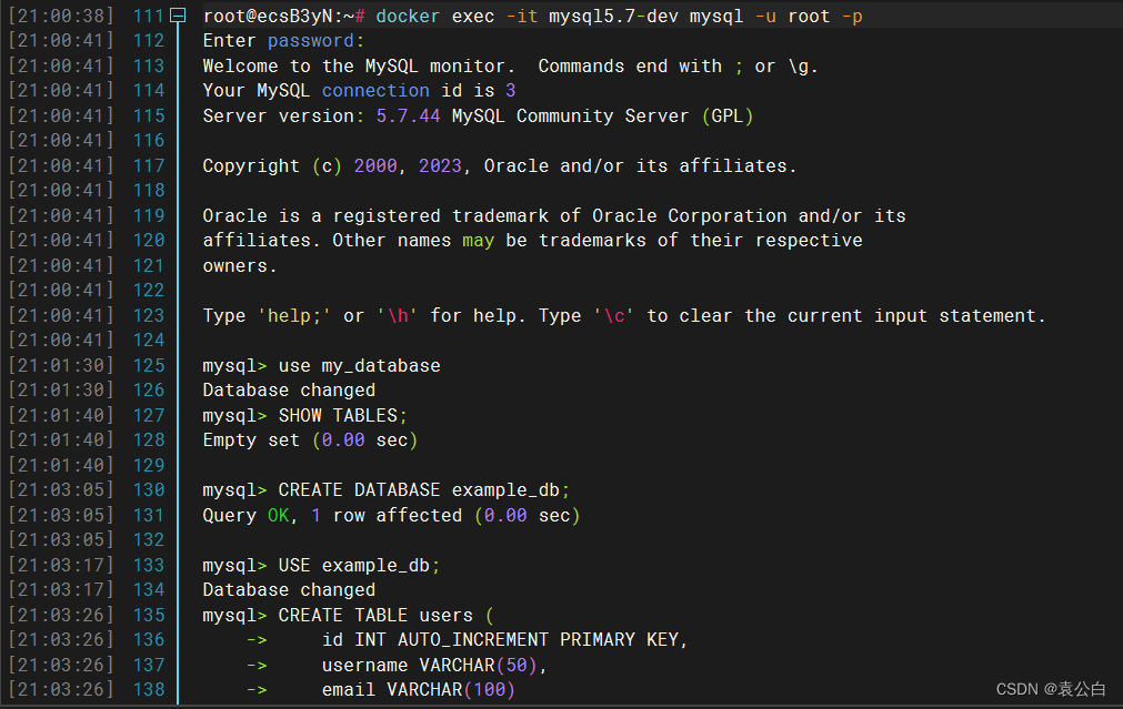 通过Docker新建并使用MySQL数据库_docker 创建mysql-CSDN博客