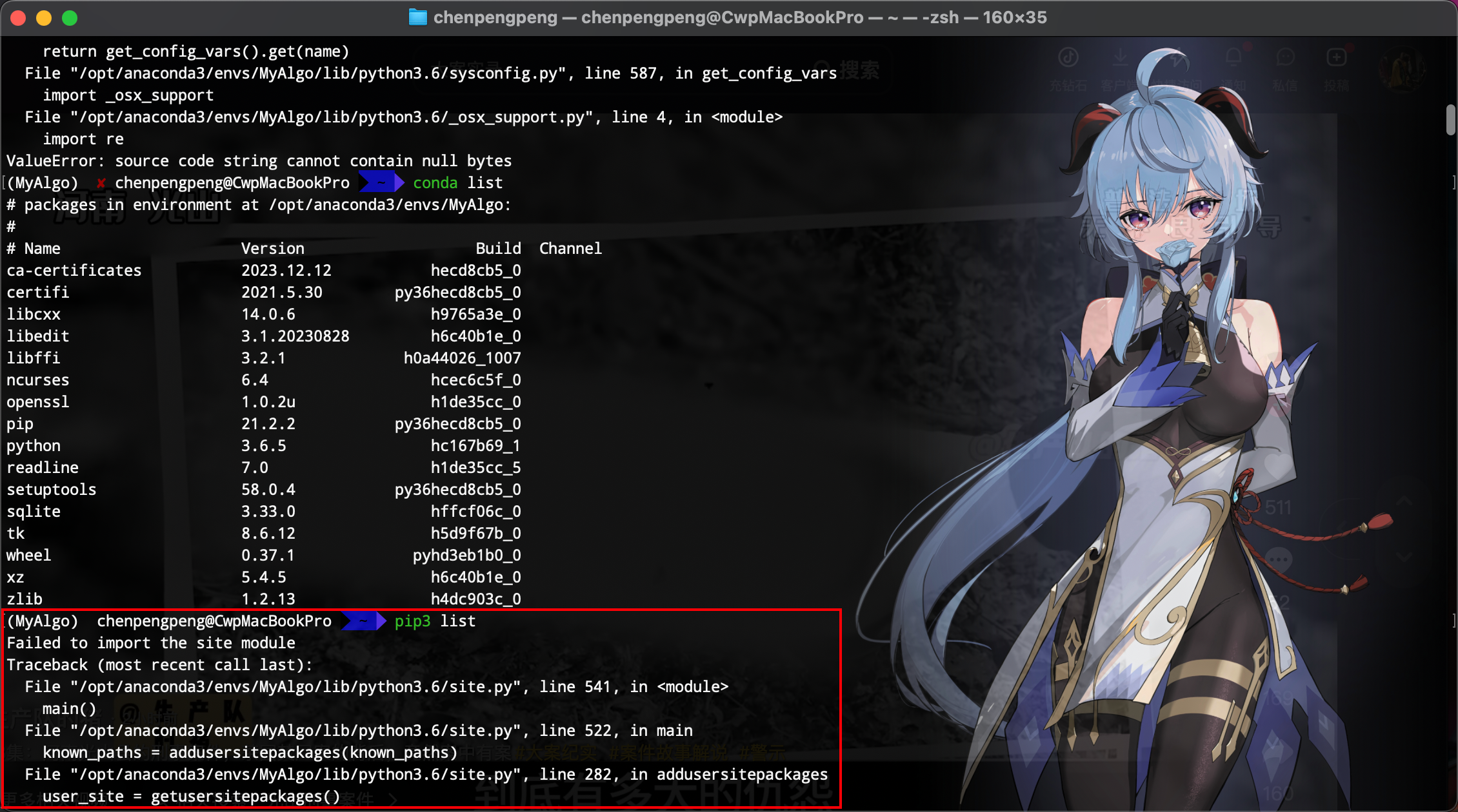 在conda创建的虚拟环境中输入pip list报错 ValueError: source code string cannot ...