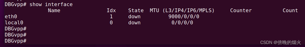 VPP 接管网卡，访问外网_vpp启动网卡-CSDN博客