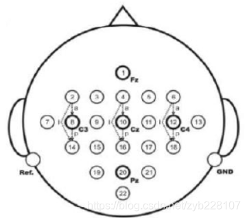 BCI比赛数据集简介-BCI competition IV 2b_bci competition iv dataset-CSDN博客