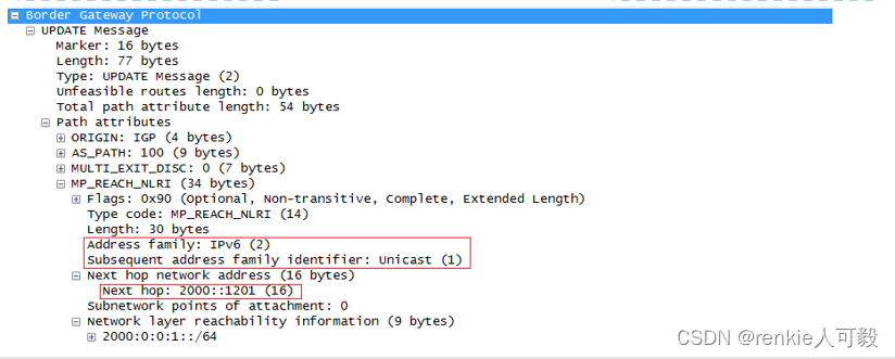 MP-BGP详解-CSDN博客