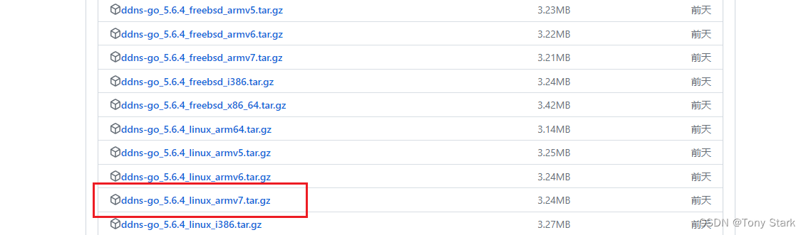 Ubuntu安装ddns-go使用阿里ddns解析ipv6-CSDN博客