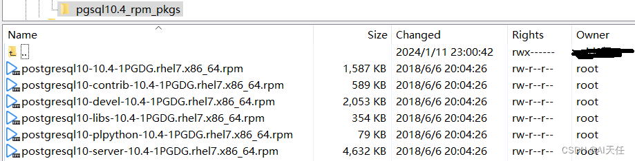 Linux 环境中Postgresql-10安装 RPM安装详细步骤_postgres 自己打rpm包是哪个-CSDN博客