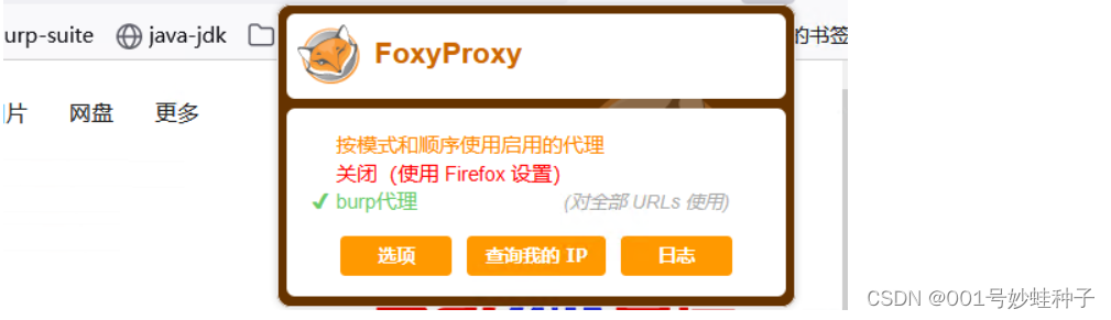 记录Firefox浏览器关于burpsuite的代理问题_foxyproxy代理ip-CSDN博客