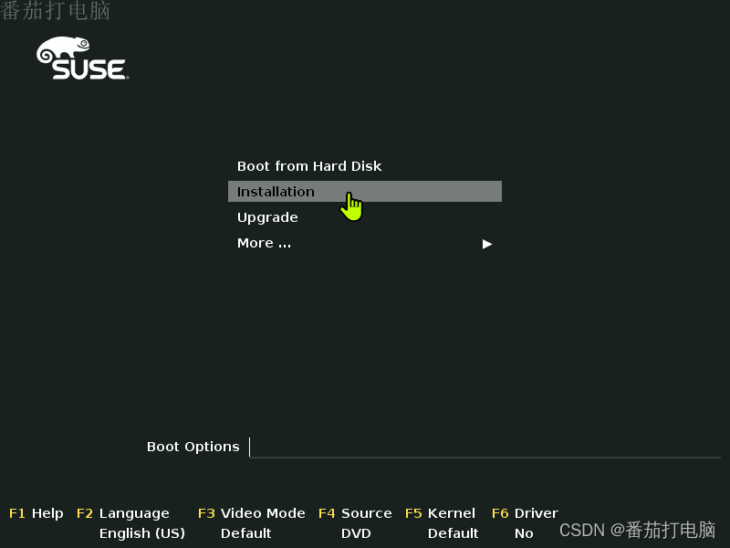 VMware workstation安装SUSE Linux Enterprise Server 12 SP5虚拟机并配置网络_vmware安装suseenterprise版本-CSDN博客