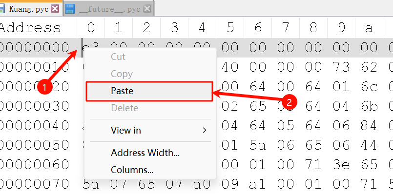 pyc文件添加magic头_pyc magic-CSDN博客