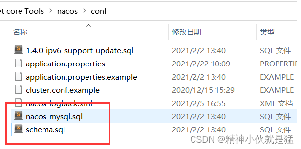 [转].NET CORE微服务之Nacos-CSDN博客