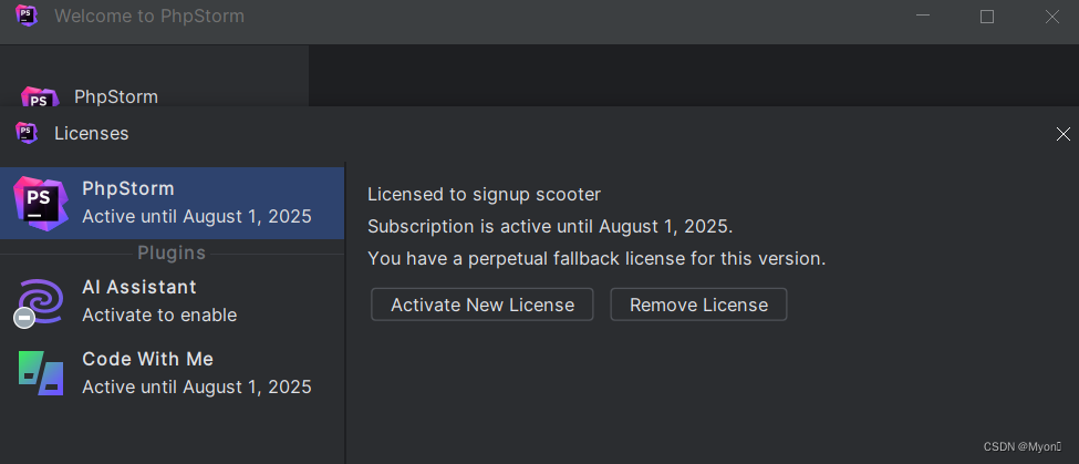 关于PhpStorm的安装与汉化_2018phpstorm激活.vbs-CSDN博客
