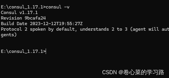 Consul 详细安装教程，以及配置持久化以及注册为服务详细教程_consul安装-CSDN博客