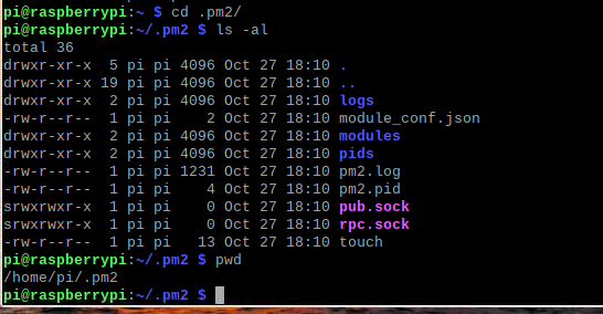 【树莓派不吃灰】基础篇⑧ 配置PM2，管理所有nodejs项目_pm2 node red-CSDN博客
