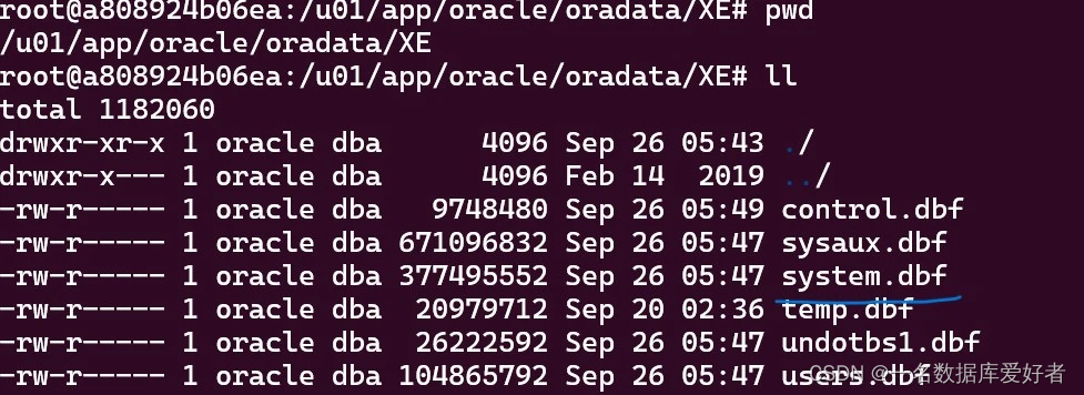 Oracle rman 备份恢复使用_rman 会备份用户么-CSDN博客