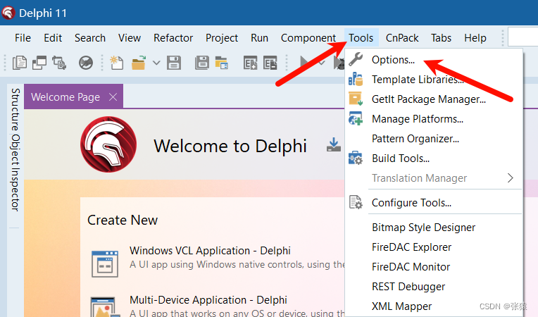 Delphi 11.3设置代码默认存储路径-CSDN博客