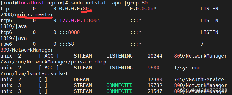 【nginx】启动报错 [(98: Address already in use)]_nginx启动报错98-CSDN博客