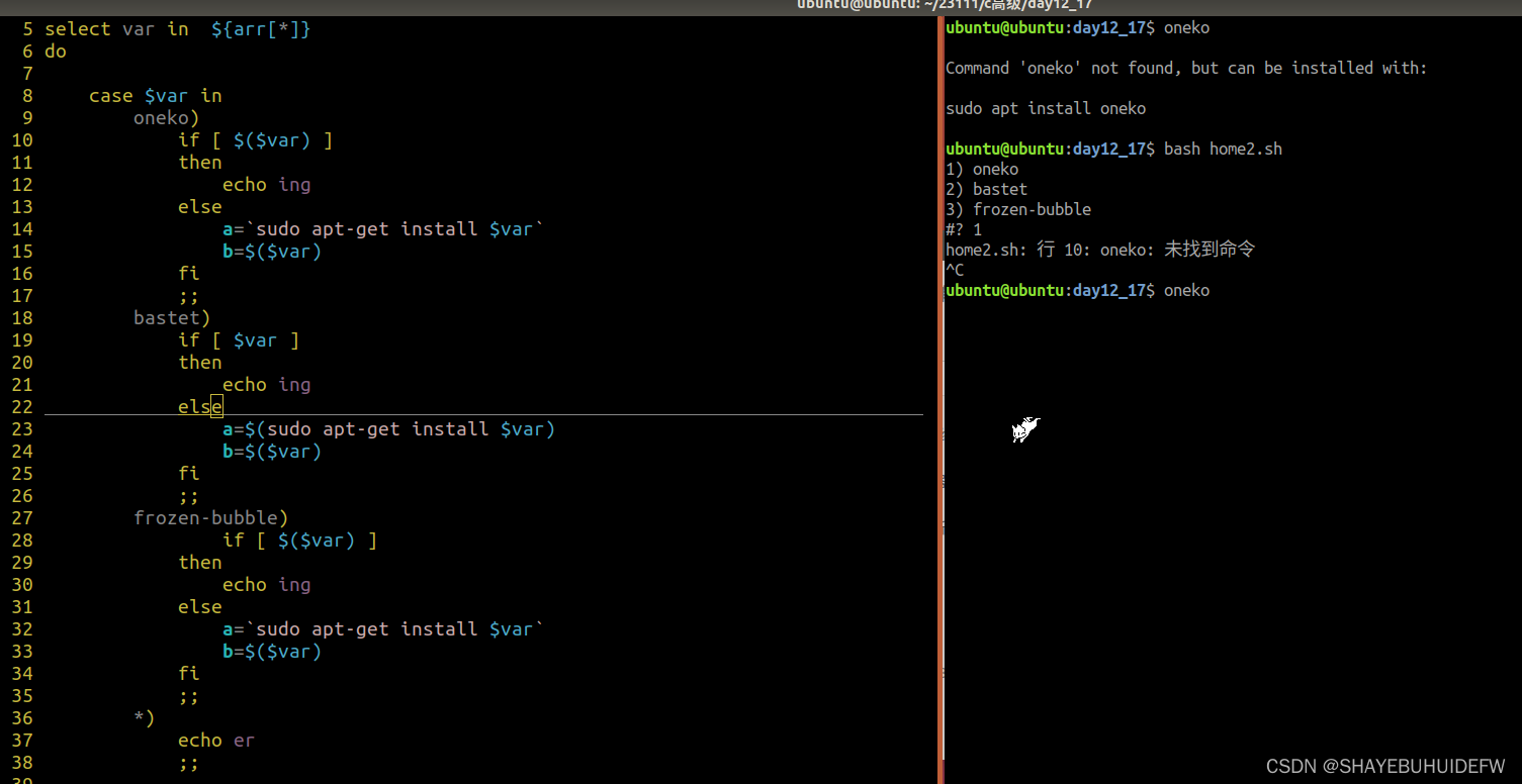 shell_day12/17-CSDN博客