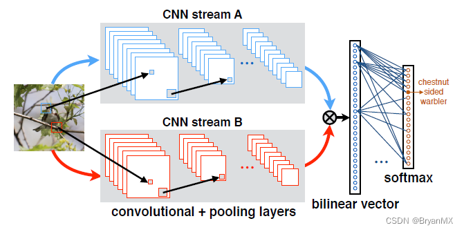 双线性池化（Bilinear Pooling）-CSDN博客