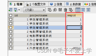关联中间表 得到开发人员的id 现在有t_project表属性有 id projectname t_epm——project 表的属性有projectid 和empid-CSDN博客