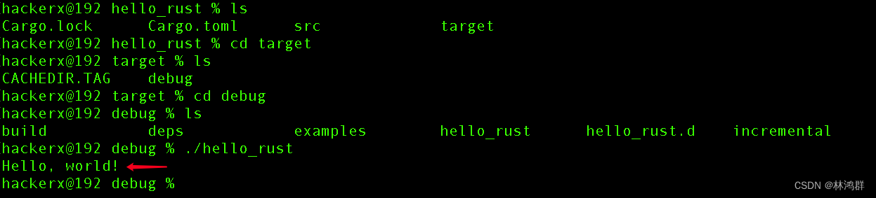 RUST工程构建工具CARGO及代码编写工具RUSTROVER使用-CSDN博客