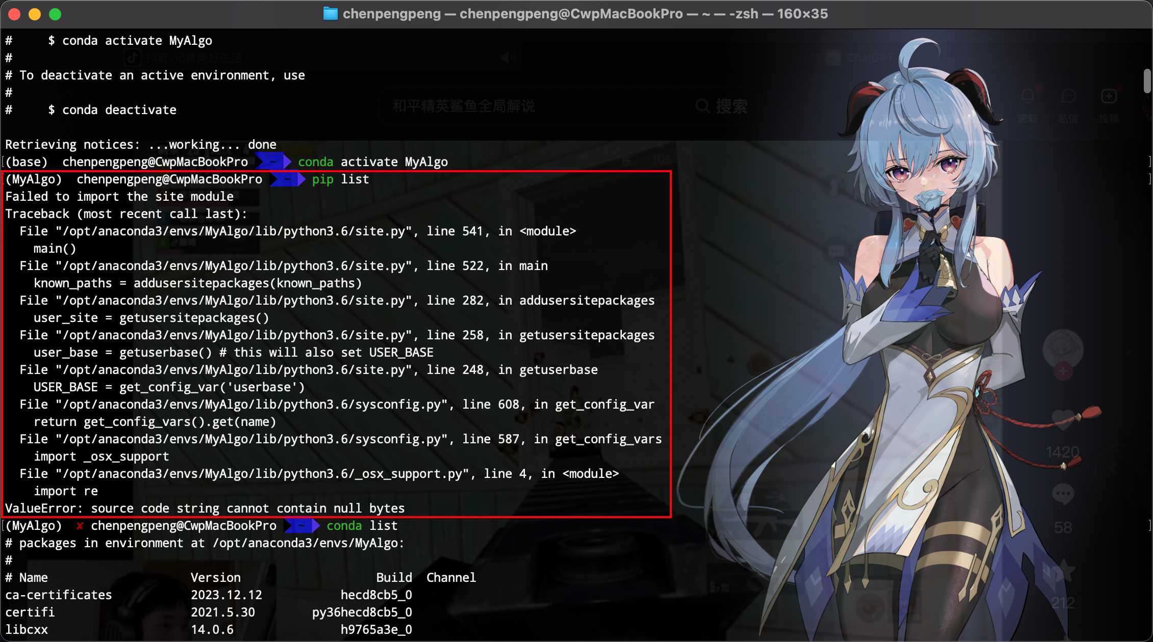 在conda创建的虚拟环境中输入pip list报错 ValueError: source code string cannot ...