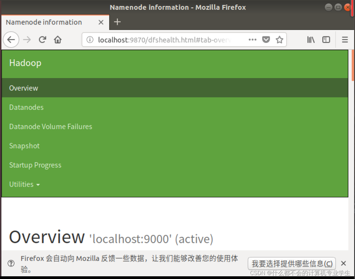 VMware首次安装Hadoop详细步骤：问题&解决方式_vmware安装hadoop-CSDN博客