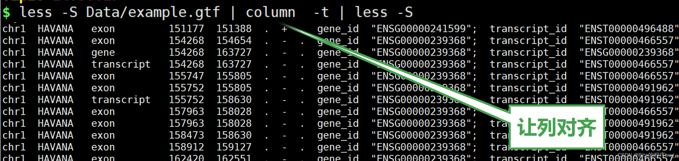 Linux进阶--生物信息学常见的文件格式：fasta、fastq、gff/gtf_fastq文件的特征是什么-CSDN博客