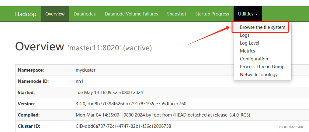 Hadoop 3.4.0+HBase2.5.8+ZooKeeper3.8.4+Hive4.0+Sqoop 分布式高可用集群部署安装 大数据系列二_hadoop3.4.0-CSDN博客